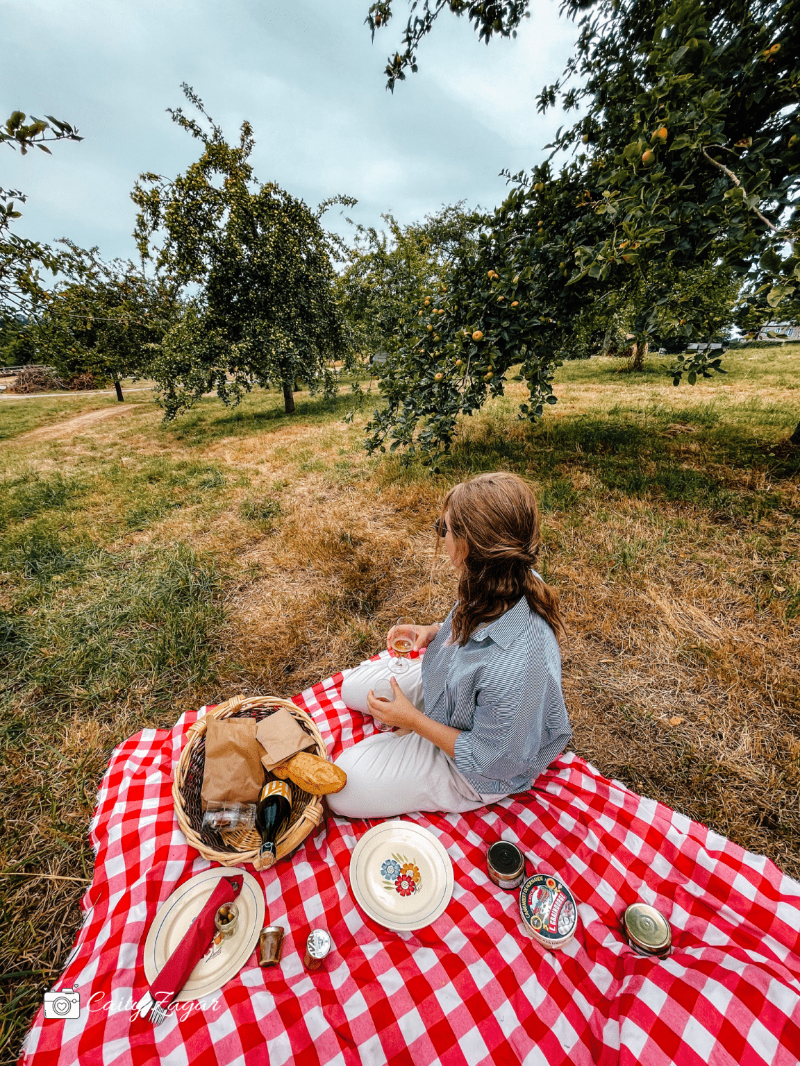 Cider Tour: one of the BEST activities to do in Normandy